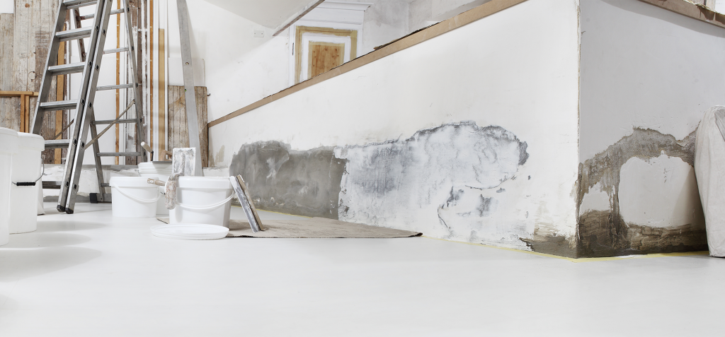 Mold Remediation and Mold Removal in Peoria, Arizona
